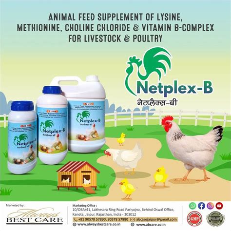 Poultry Feed Supplements 1L Netplex B Livestock Supplement