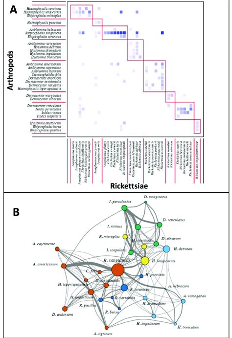 composite panels of modules identified using a bipartite networks and download scientific