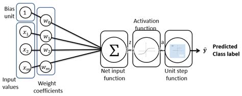 the structure of the feedforward neural network approach algorithm is download scientific