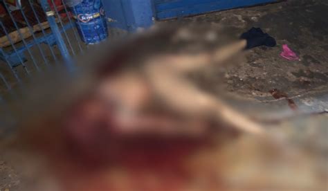 Imagens Fortes Suspeito Estupra E Esmaga Cr Nio De Garota De Programa