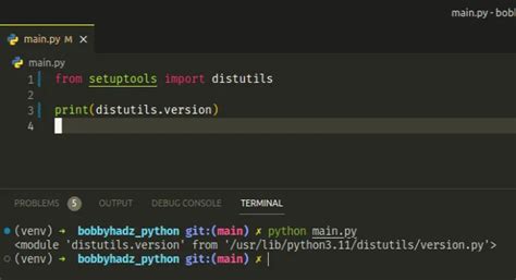 AttributeError Module Distutils Has No Attribute Version Bobbyhadz