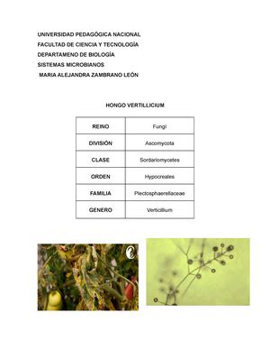 Informe De Laboratorio N 2 Tincion De Gr Informe De Laboratorio N2