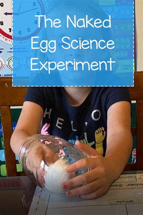 The Naked Egg Science Experiment