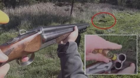Las 31 Mejores Escopetas De Tres Cañones Calibres 12 Y