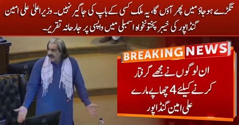 CM Ali Amin Gandapur S Aggressive Speech In KPK Assembly