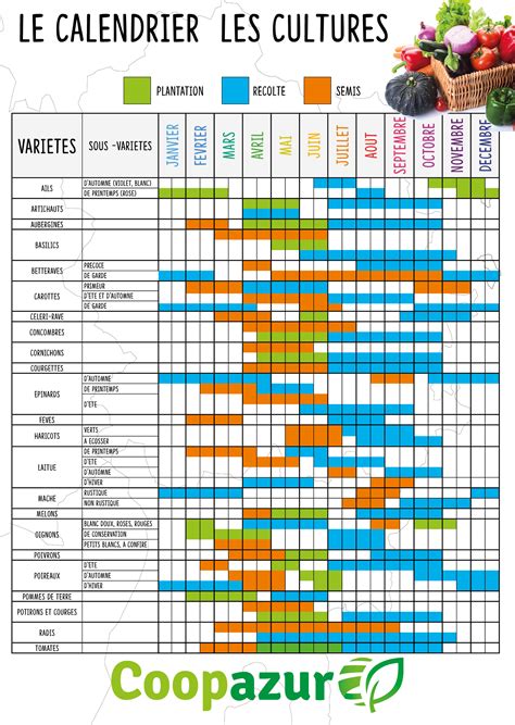 Calendrier Des Cultures Rooftop Garden Balcony Garden Garden Party