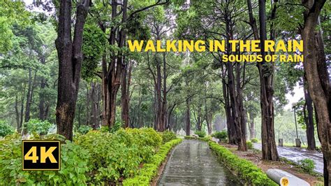 Walking In The Rain Sounds Of Rain Relaxing Asmr Thunderstorm K