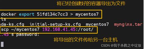 docker的容器管理操作 docker容器管理 csdn博客