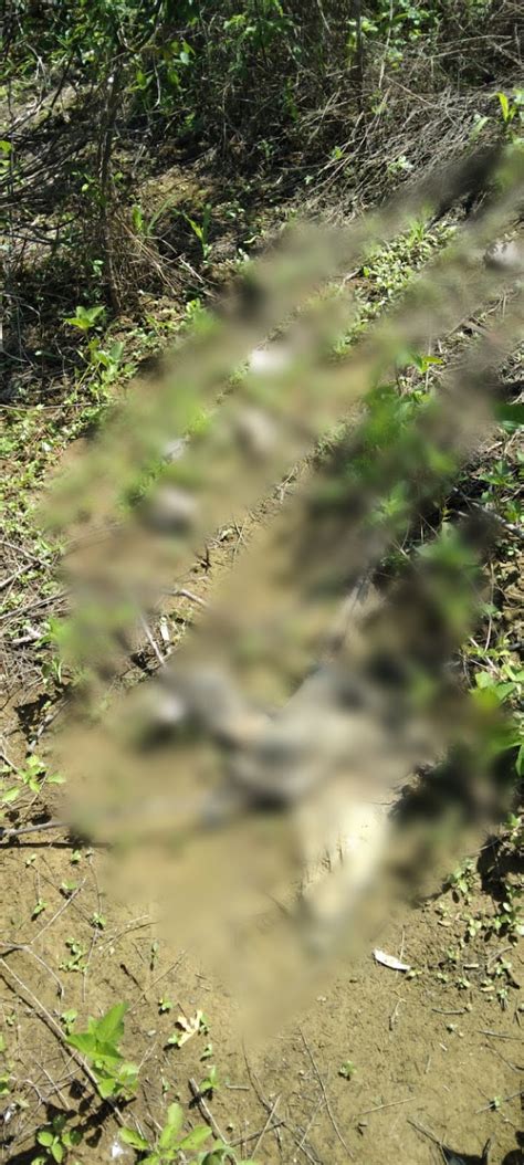 OSSADA HUMANA É ENCONTRADA NO PROJETO JAÍBA MG