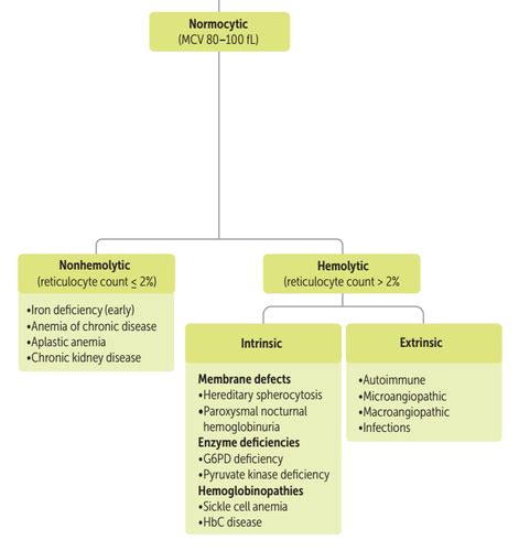 Heme22 23 Normocytic Anemia Flashcards Quizlet