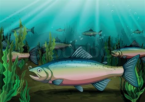 Fisch Stock Vektor Colourbox