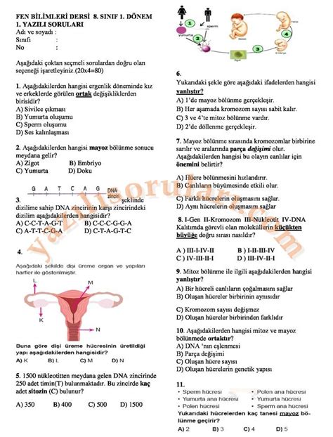 8 Sınıf Fen ve Teknoloji Fen Bilimleri Dersi 1 Dönem 1 Yazılı