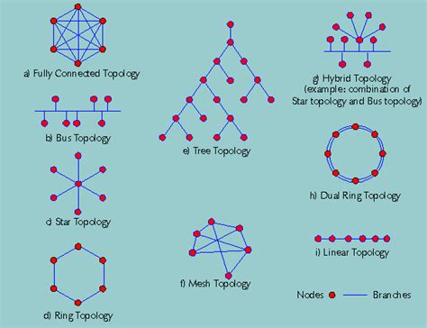 The Actually Existing Internet Mapping Network Topology The Autonomy
