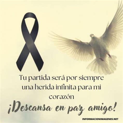 80 Dedicatorias Reflexiones Y Frases A Un Amigo Fallecido