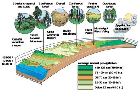 L Ecosystems Biomes Quiz Flashcards Quizlet