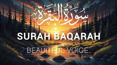 Surah Baqarah Tilawat Quran Urdu Translation Beautiful Voice Most