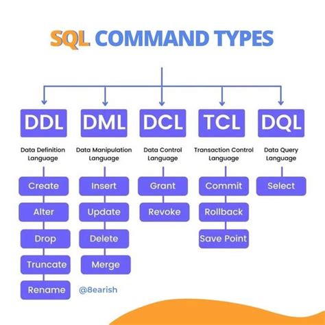 SQL Command Types BigData Analytics DataScience AI