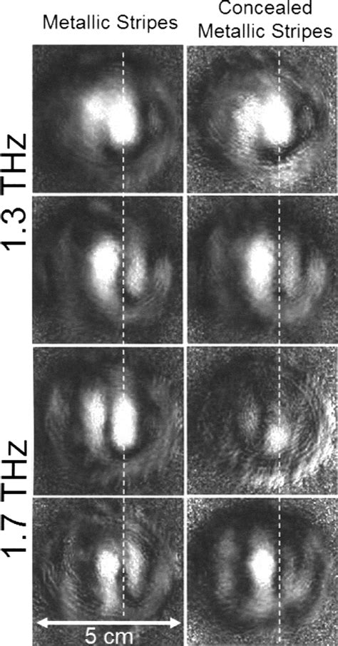 figure 1 from static terahertz imaging at a distance for concealed weapon detection semantic