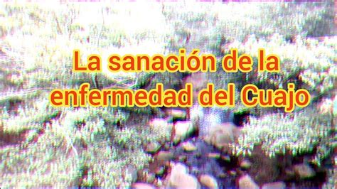 la sanación de la enfermedad del Cuajo YouTube
