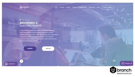 Top 10 de las mejores agencias de desarrollo web en México Branch Agencia