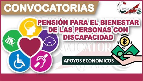 Details 48 pensión para el bienestar de las personas con discapacidad