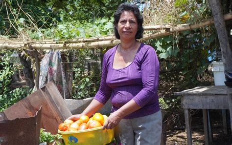 Acceso a comida en tiempos de pandemia la soberanía alimentaria en
