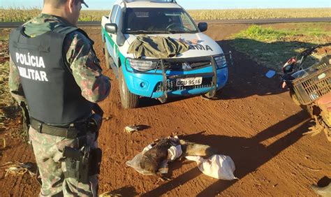 Pol Cia Militar Ambiental Autua Ca Adores Em R Mil Em