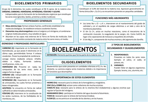Mapas Conceptuales De Los Bioelementos Descargar