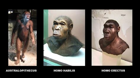 história da humanidade Mega Arquivo