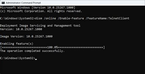 manually enable telnet on windows 11 using cmd prompt