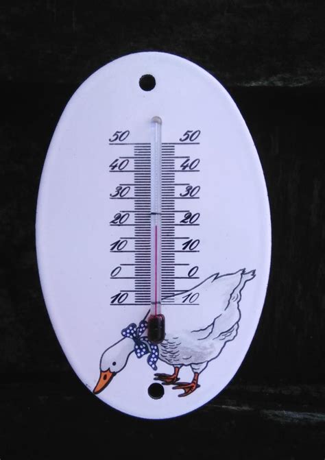 Thermomètre émaillé ovale déco oie émail made in France