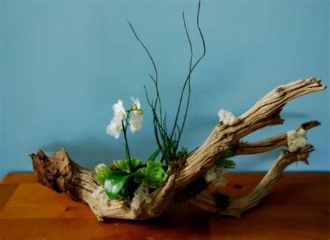Driftwood Succulent Arrangement Driftwood Planters Driftwood
