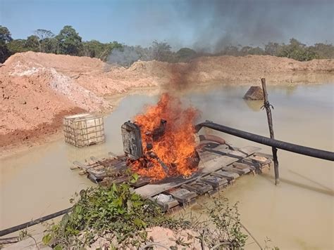 PF em Rondônia deflagra operação para combater extração ilegal de