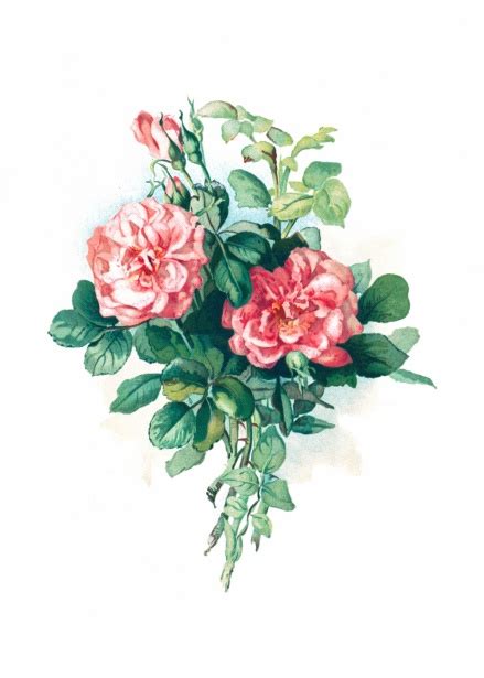 Flowers Vintage Art Old Free Stock Photo Public Domain Pictures