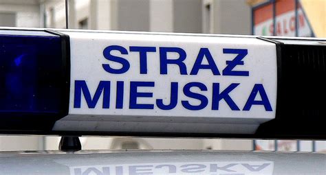 Nieletni z papierosami i pijany rowerzysta Miasto z Wizją