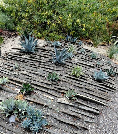Danger Garden An Obsession Starts Slowly And Builds Rockery Garden