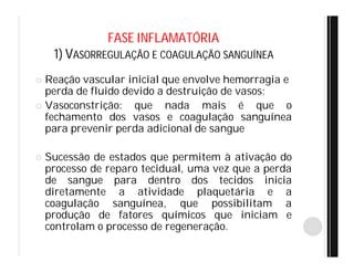 Reparo Dos Tecidos PPT
