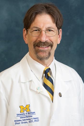 Metabolism Endocrinology Diabetes Internal Medicine Michigan