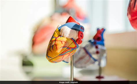 World Heart Day 2024 Date History And Significance Of This Day