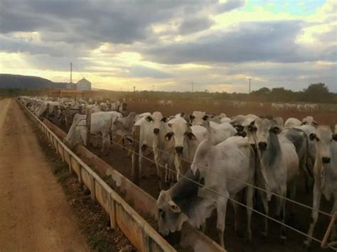 Informa Es Centro Sul De Rond Nia Recebe A Terceira Rota Do Confina