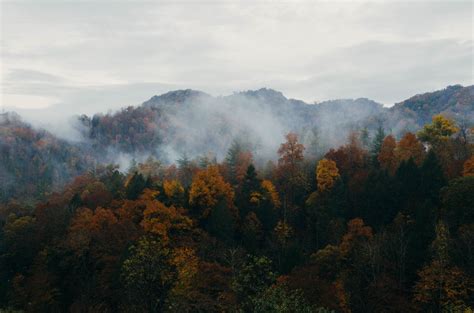 Mist Autumn Wallpapers Wallpaper Cave