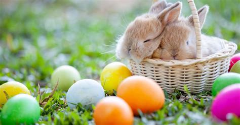 Ostern in Deutschland Traditionen und Bräuche