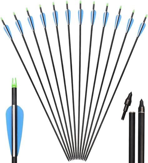 Huntingdoor Lot de 12 Flèches de tir à l arc en Carbone 31 Pouces