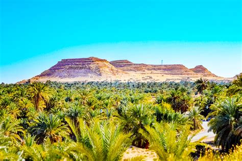 Siwa Oasis Salt Lake Best Things To Do In Siwa Trips In Egypt