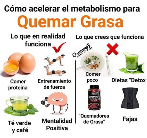 Como Acelerar El Metabolismo En 12 Pasos FullMusculo Alimentos