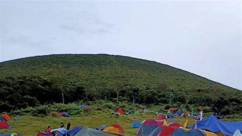 Jalur Pendakian Gunung Gede Pangrango Kembali Dibuka Tapi Ada Jalur