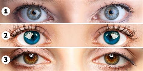 Test De Personnalit D Couvrez Votre Vraie Nature Et Votre