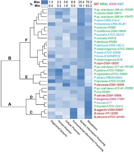KEGG Pathway Frequency Heatmap All Coding Genes Annotated Against KEGG