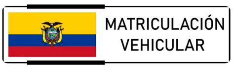 Ant Simulador Licencia Tipo A Actualizado
