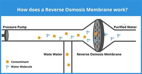 What Does Reverse Osmosis Remove Living Whole